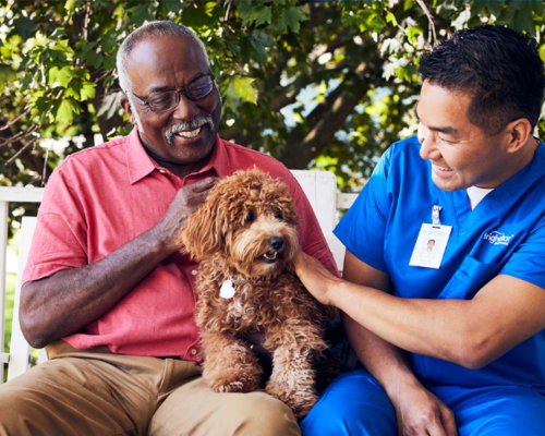 Adaptive Home Modifications for Veteran Care Support